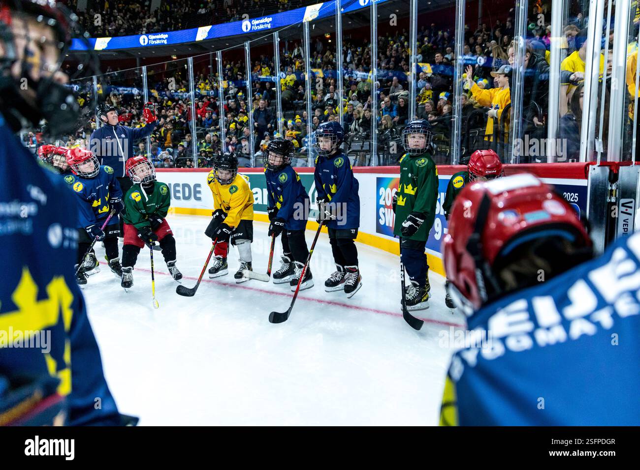 250209 Mascots on ice ahead of second period during the Beijer Hockey ...