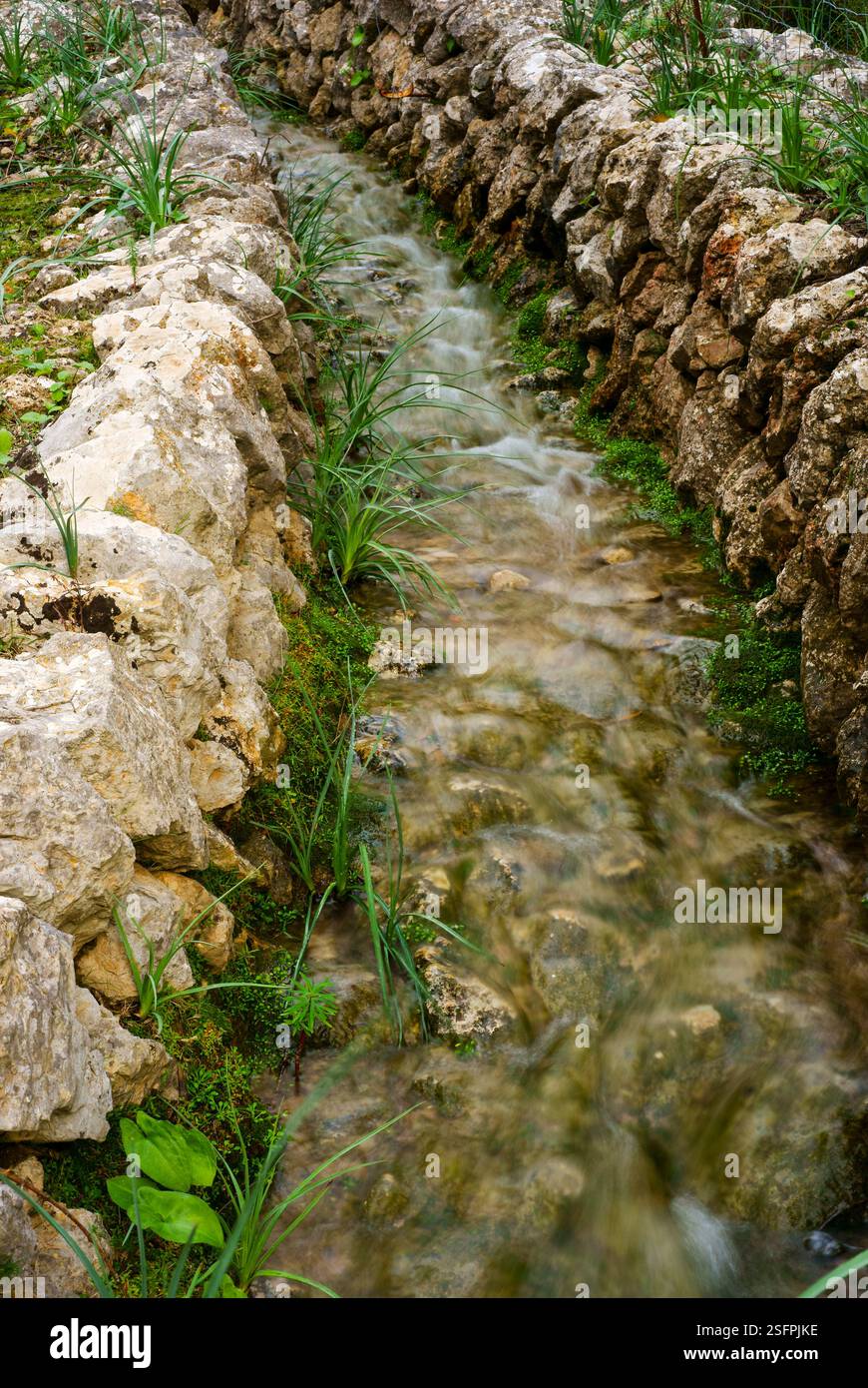 Traditional irrigation and water collection ditch, Olive grove in Son ...