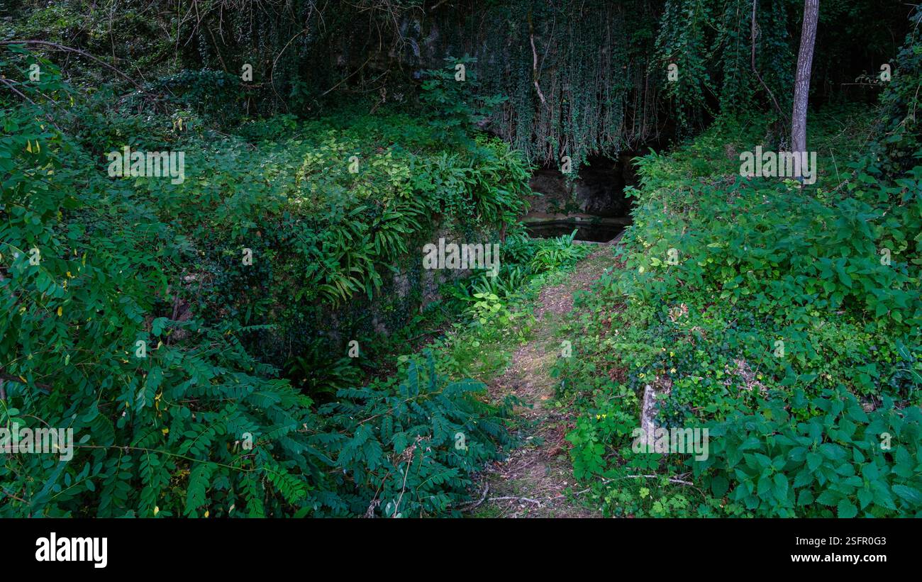 horizontal view of a path way to a natural spring water surrounded by ...