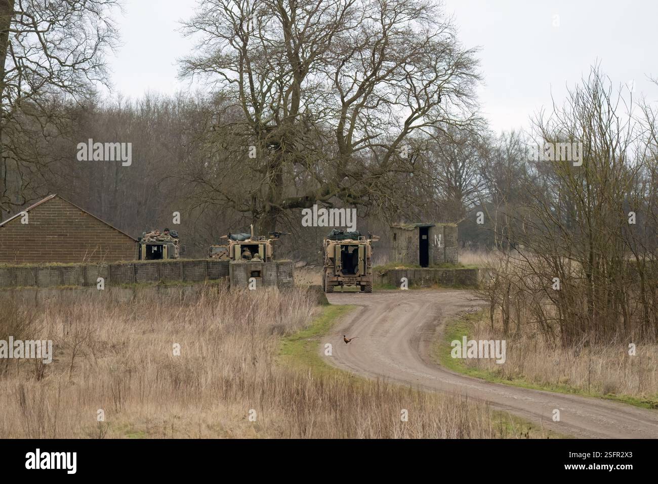 British army Foxhound 4x4-wheel drive protected patrol vehicles on a ...