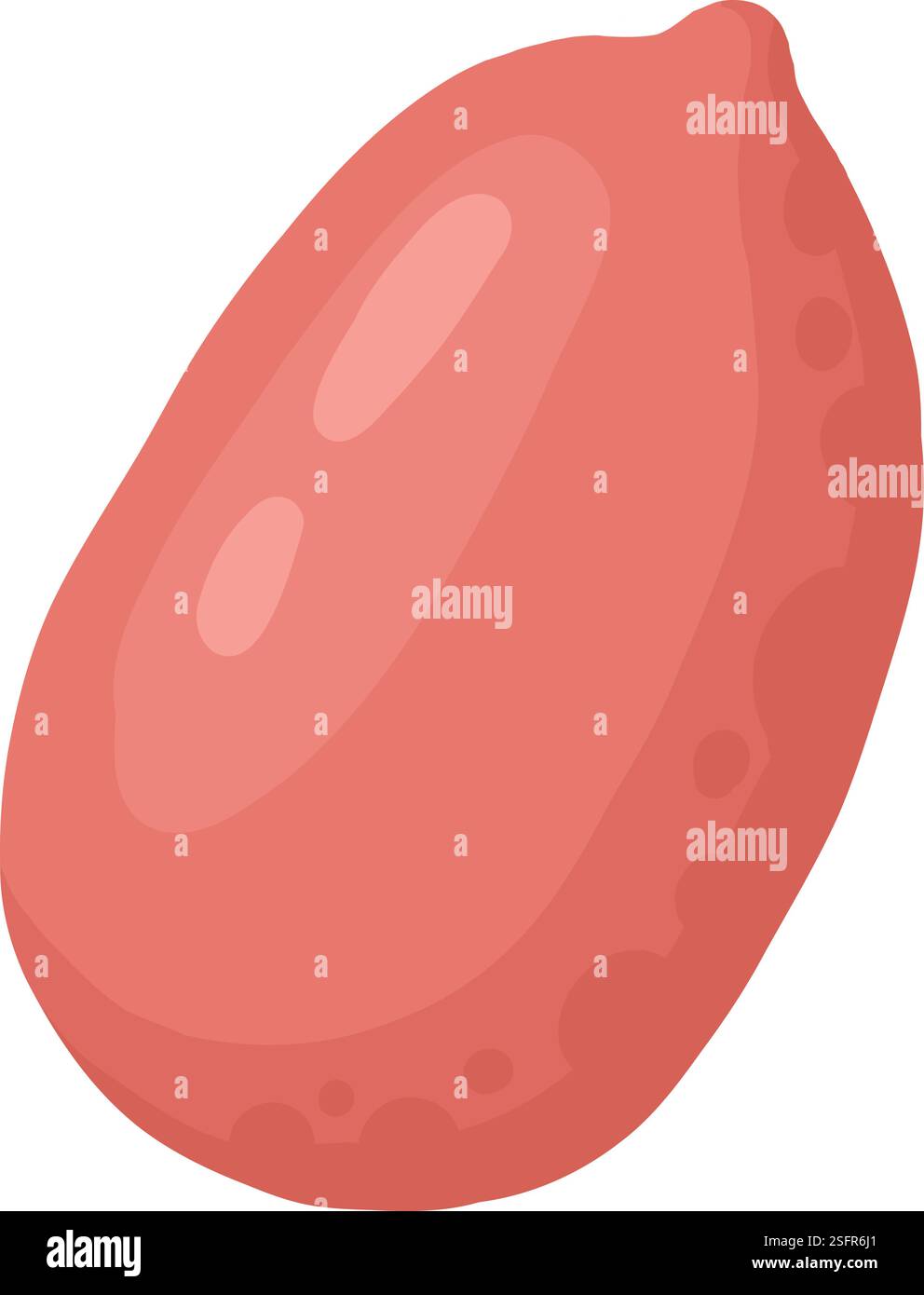 Cartoon peanut. Delicious tasty peanuts snack, raw peanut in shell flat ...