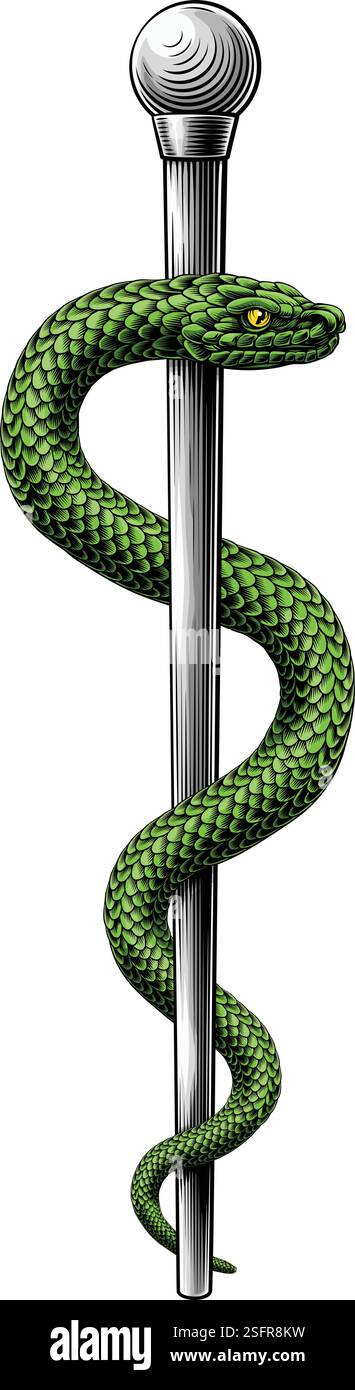 Rod of Asclepius Caduceus Medical Doctor Symbol Stock Vector Image ...