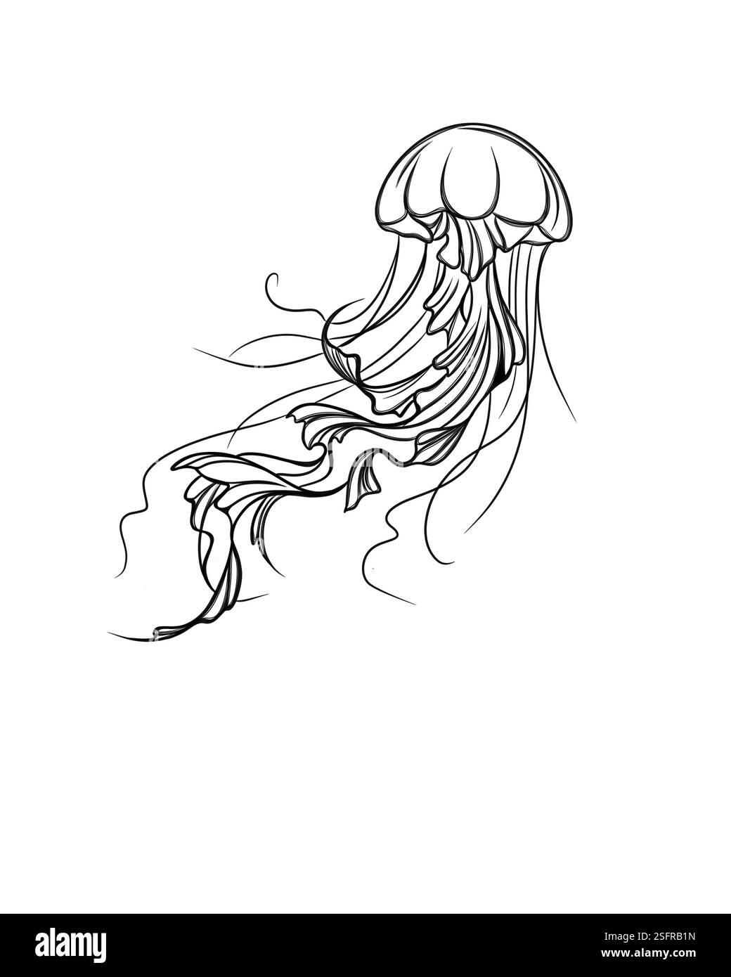 Sketch of jellyfish isolated on background. Hand drawn illustration ...