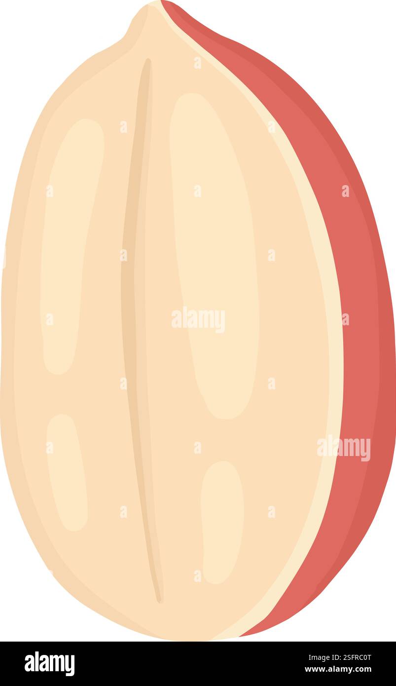 Cartoon peanut. Delicious tasty peanuts snack, raw peanut in shell flat ...