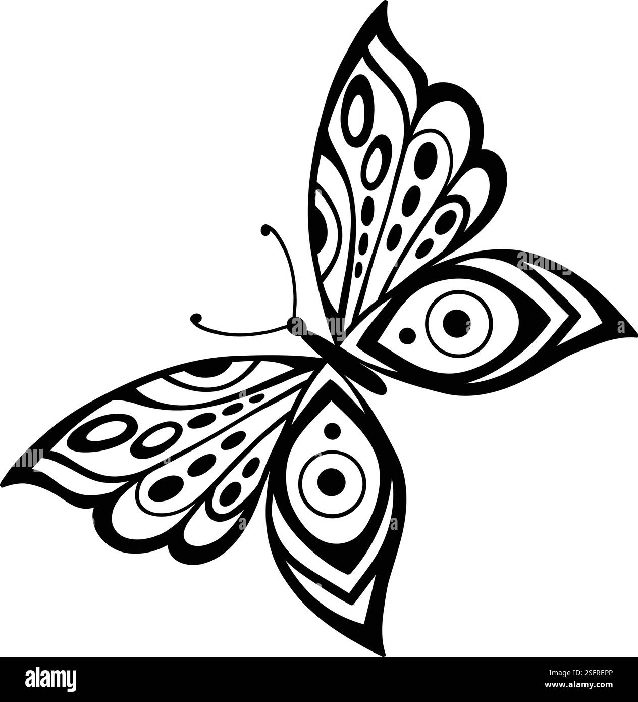 Moth metamorphosis Black and White Stock Photos & Images - Alamy