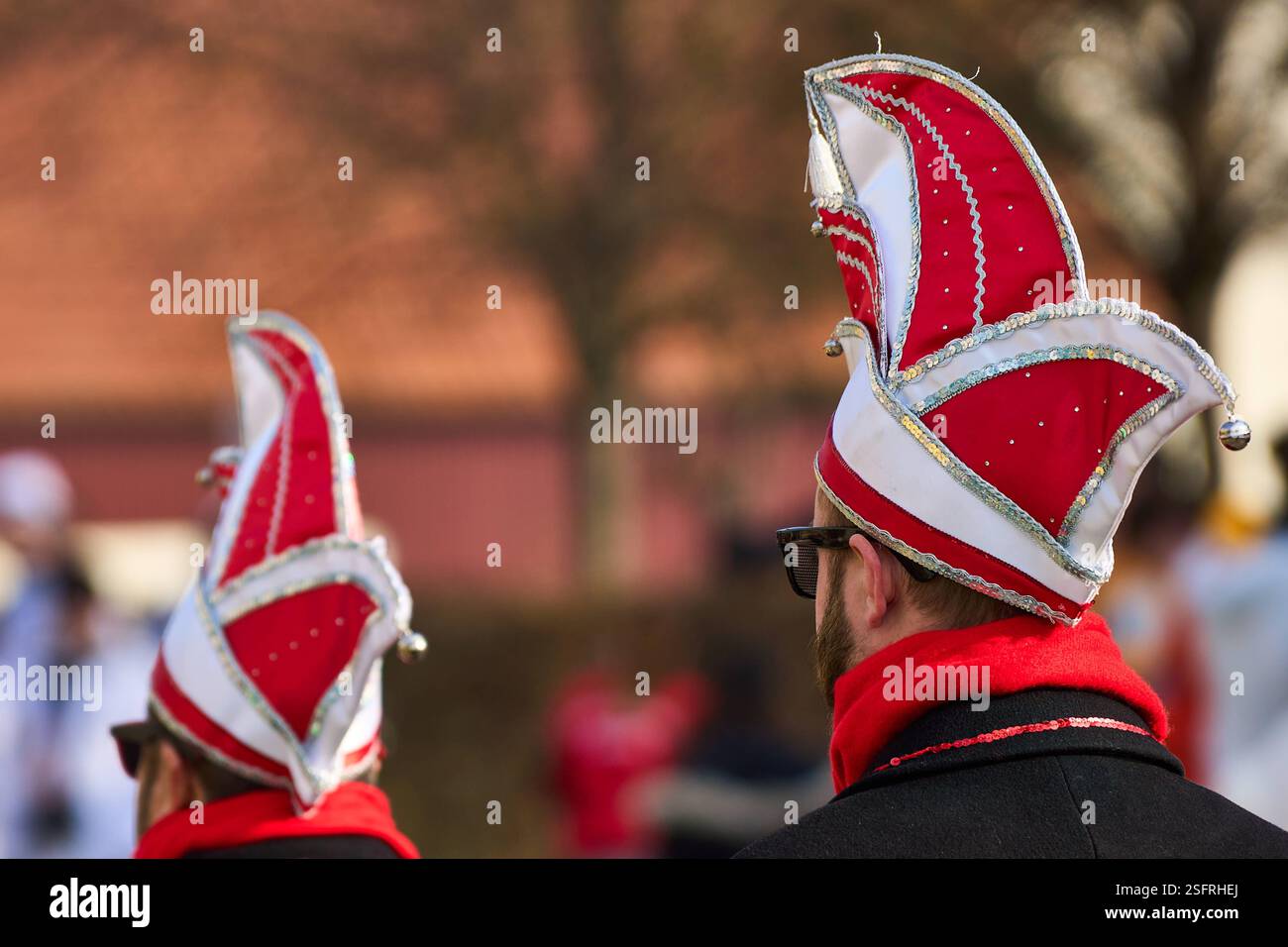 Mertingen, Bavaria, Germany - February 9, 2025: Big carnival parade in ...