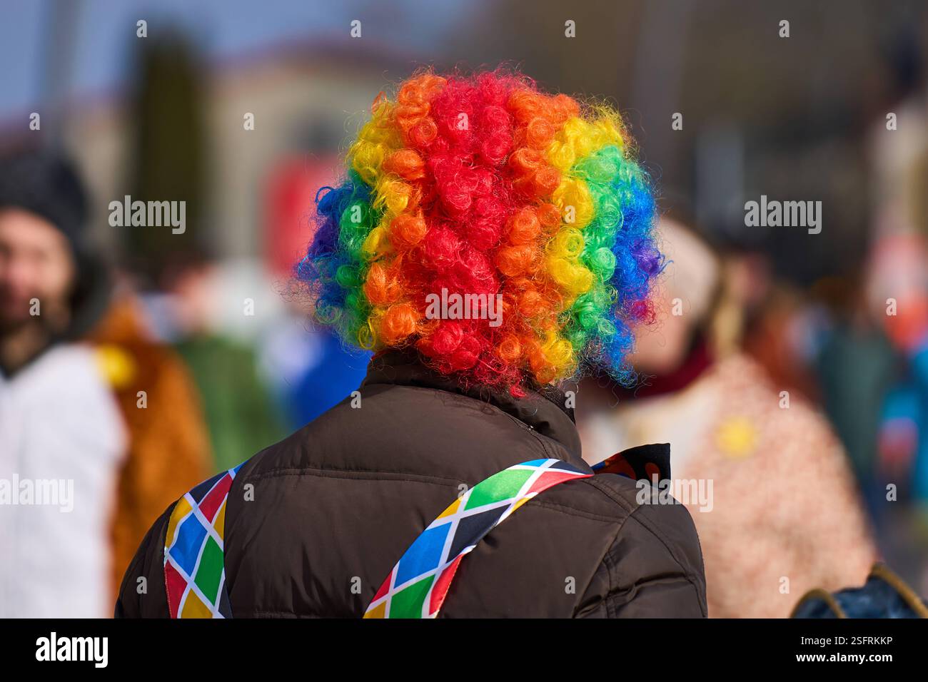 Mertingen, Bavaria, Germany - February 9, 2025: Big carnival parade in ...