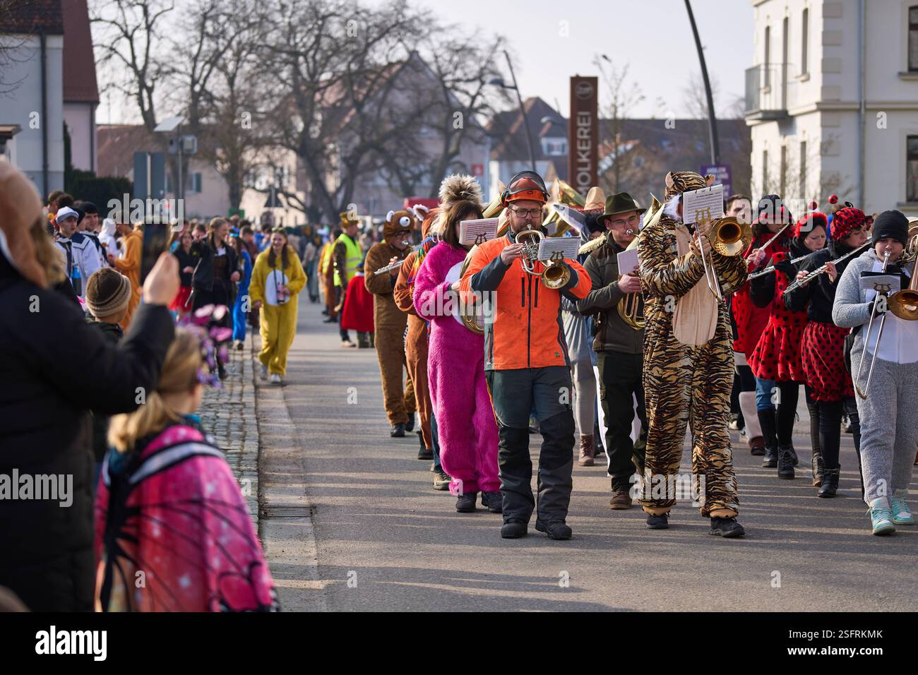 Mertingen, Bavaria, Germany - February 9, 2025: Big carnival parade in ...
