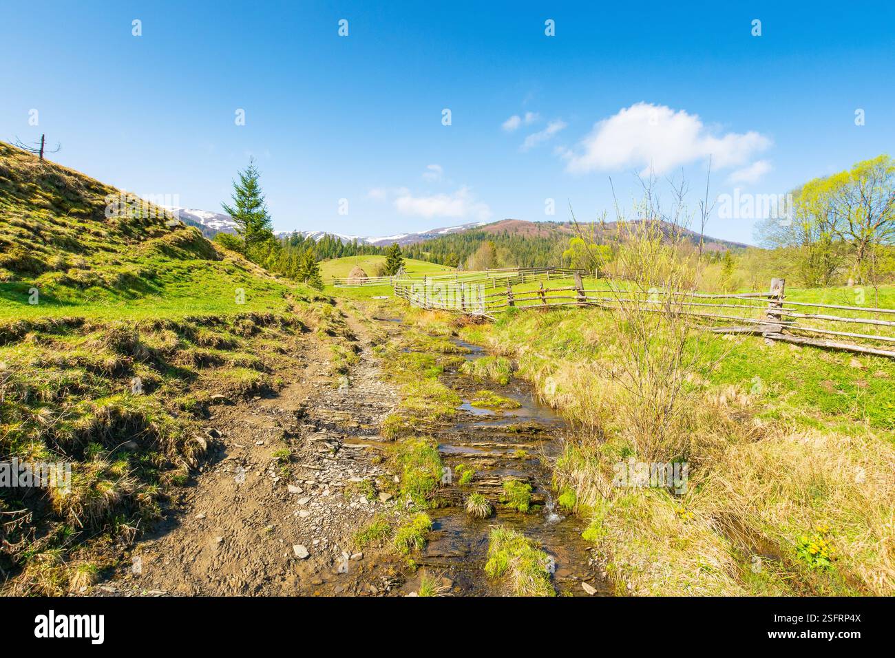 countryside scenery of ukraine in spring. blue sky with cloud. sunny ...