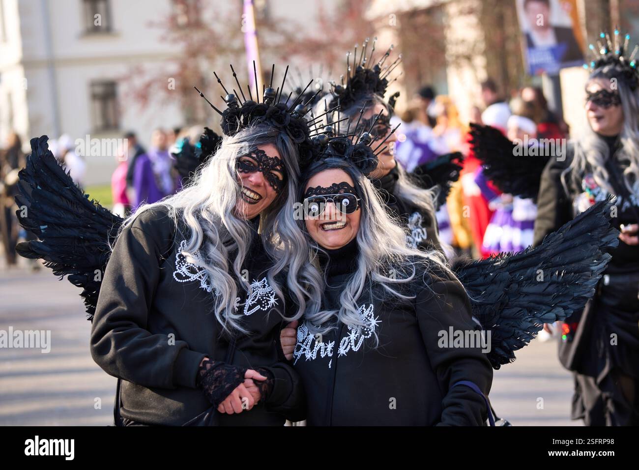 Mertingen, Bavaria, Germany - February 9, 2025: Big carnival parade in ...