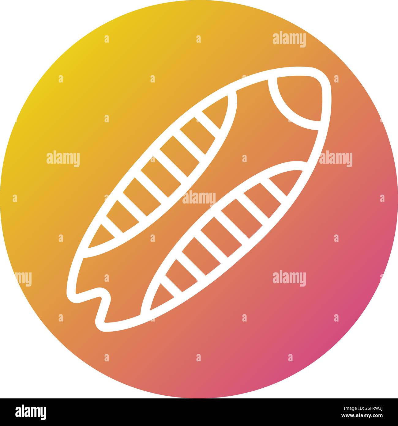 Bodyboard Cut Out Stock Images & Pictures - Alamy