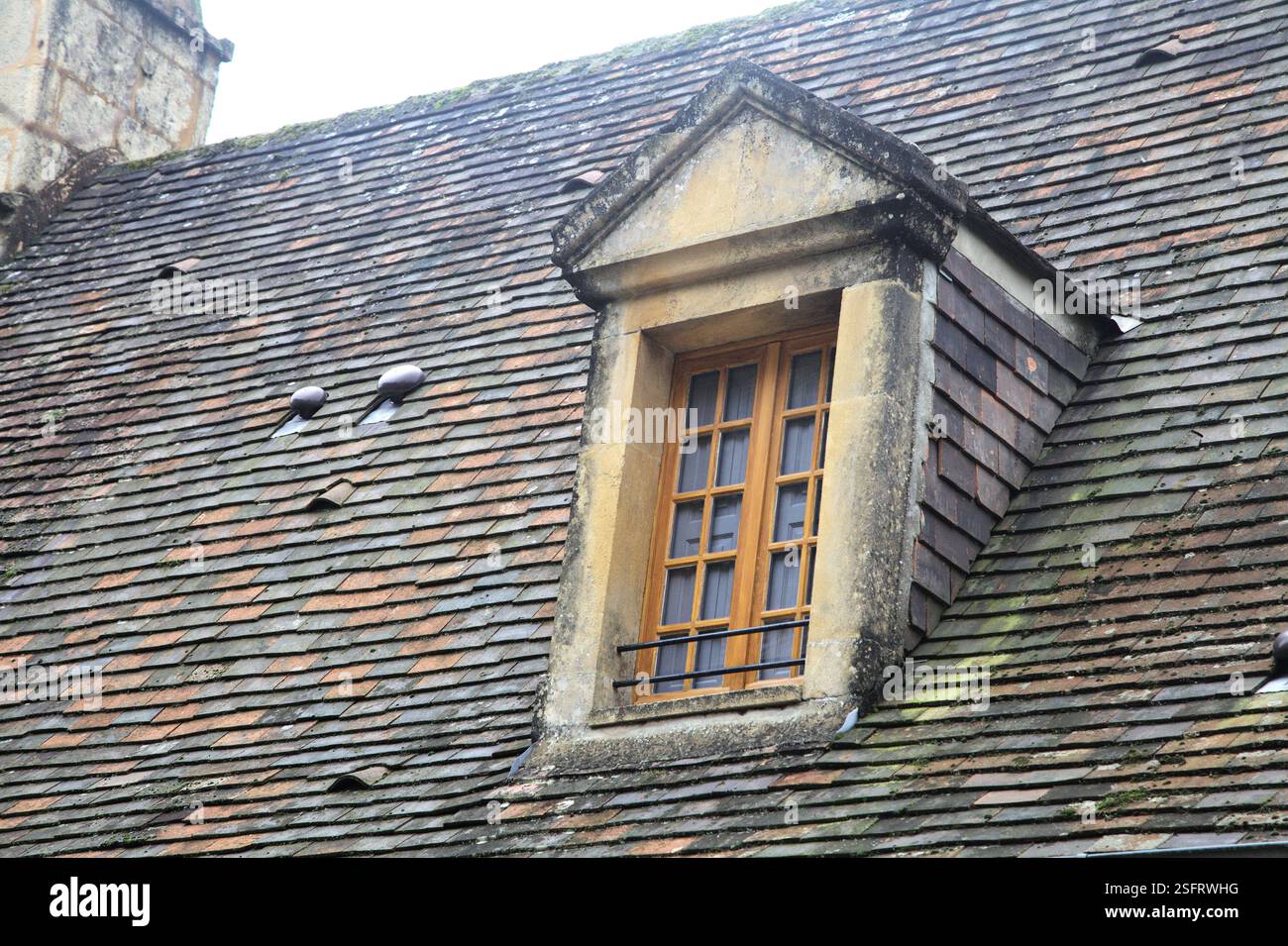 A charming wooden window on a mossy slate roof showcases classic French ...