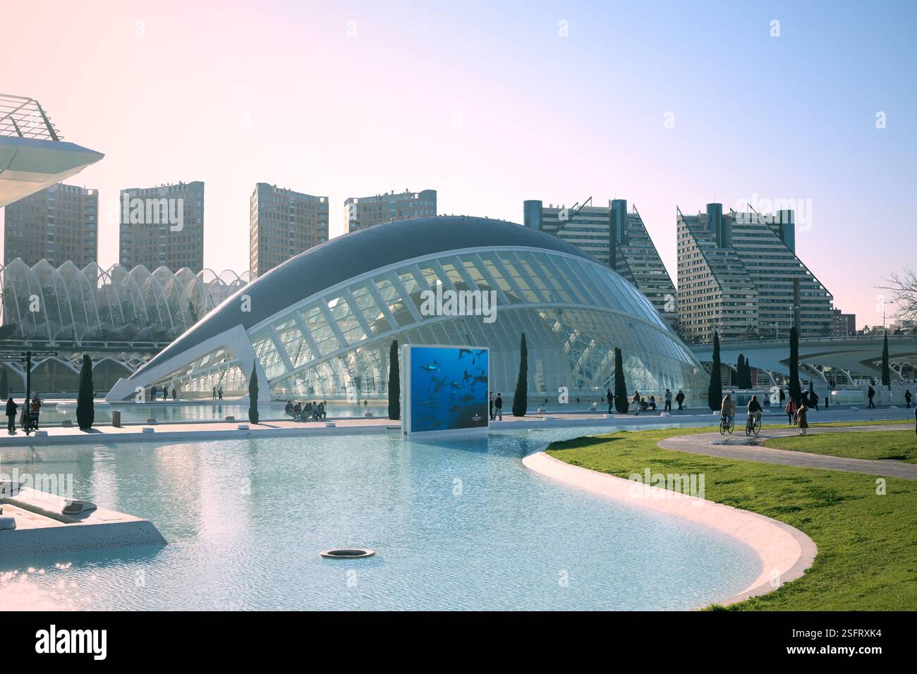 Buildings of the City of Arts and Sciences are seen in Valencia, Spain ...