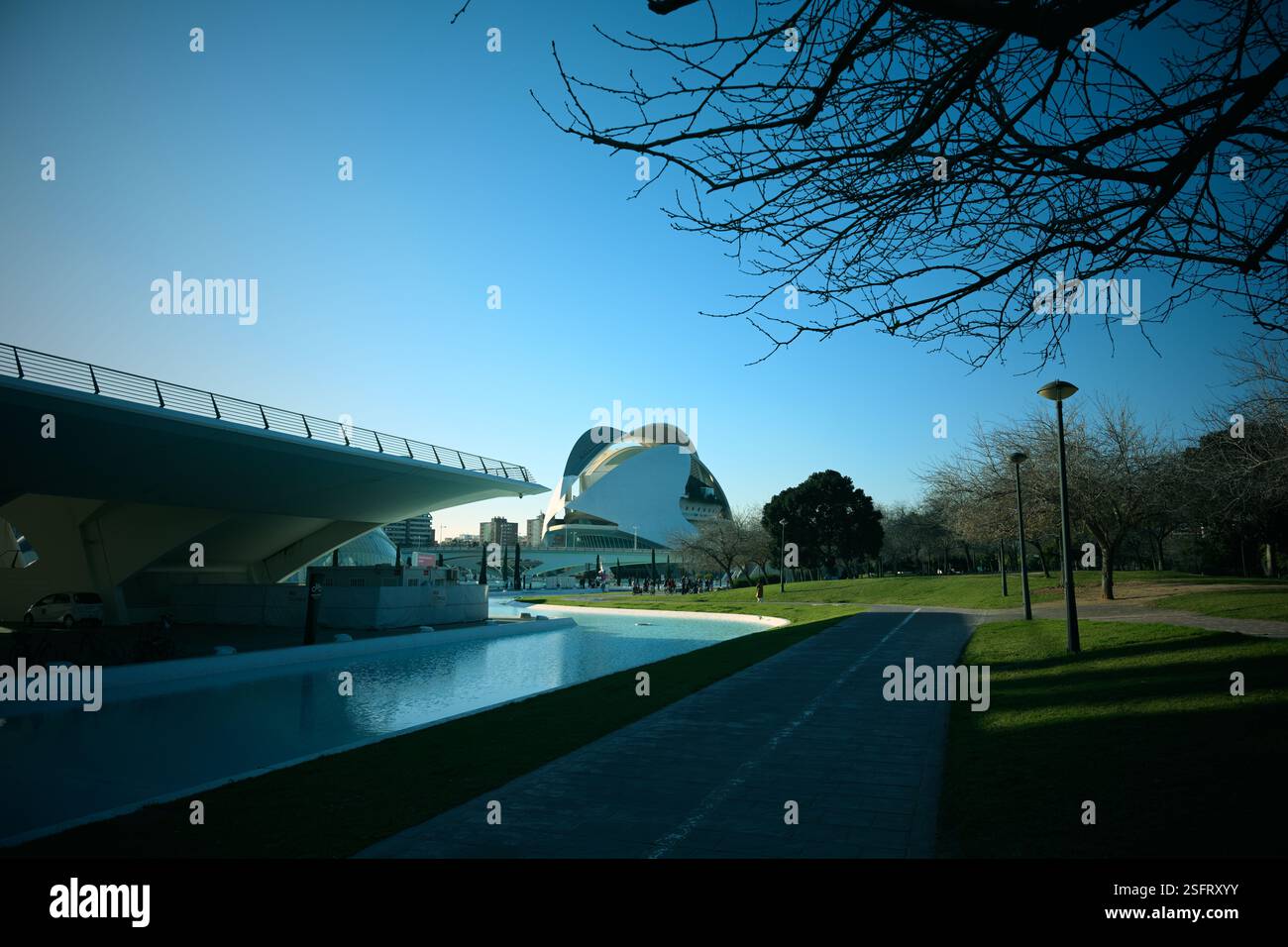Buildings of the City of Arts and Sciences are seen in Valencia, Spain ...