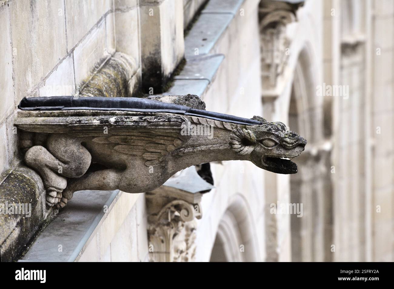 Chambord Castle features intricate stone gargoyles that reflect ...