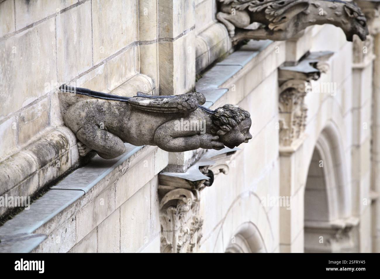 Chambord Castle features intricate stone gargoyles that reflect ...
