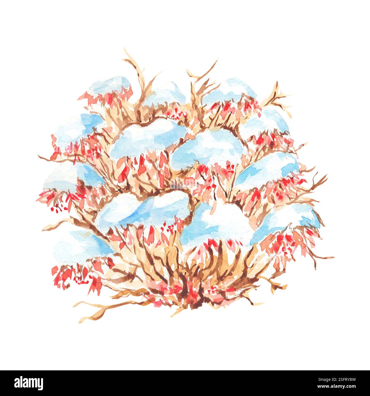 Snow covered forest water Cut Out Stock Images & Pictures - Alamy