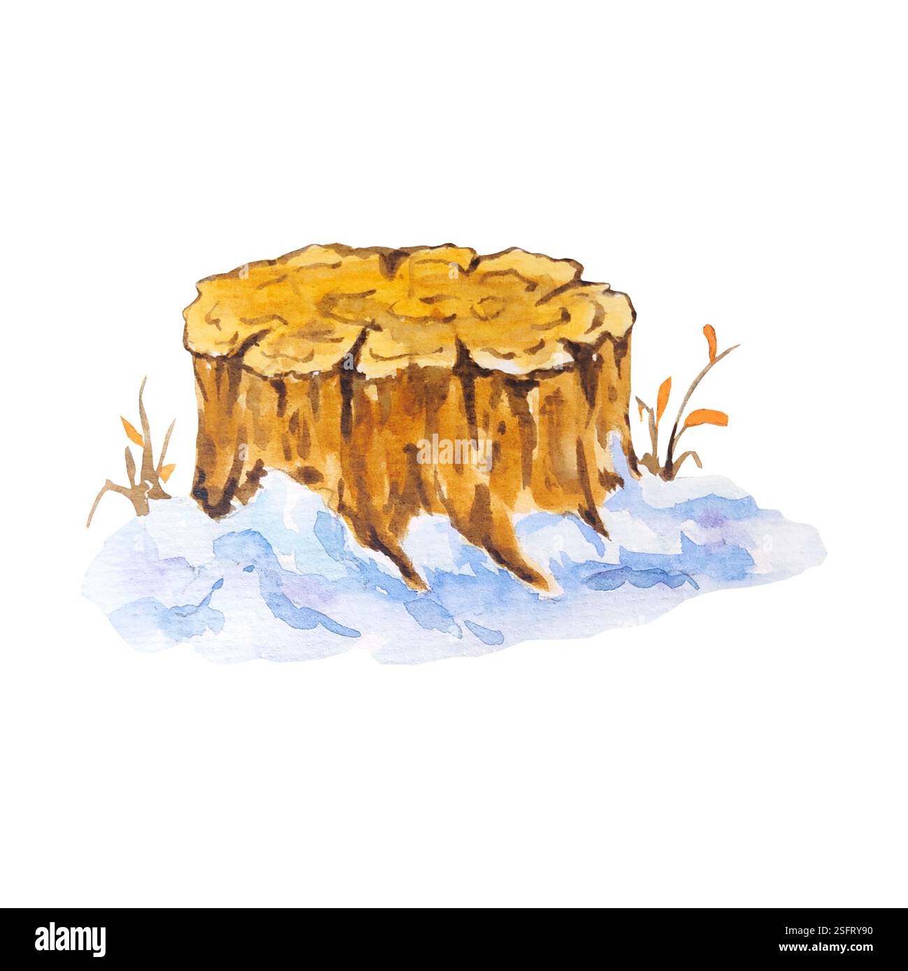 Stump in snow watercolor hand drawn illustration. Wooden cut tree, part ...