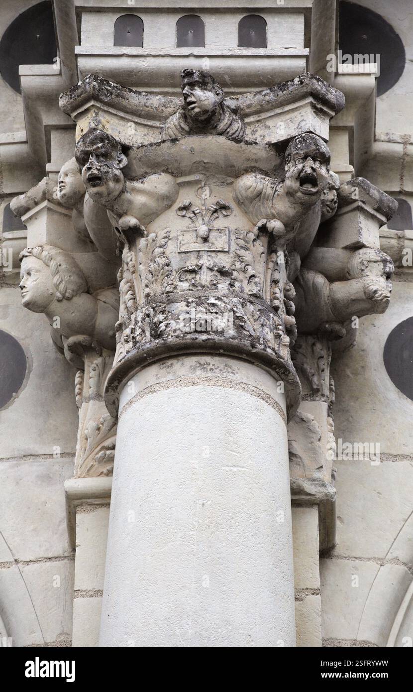 Ornate stonework above a doorway at Chambord Castle highlights the ...