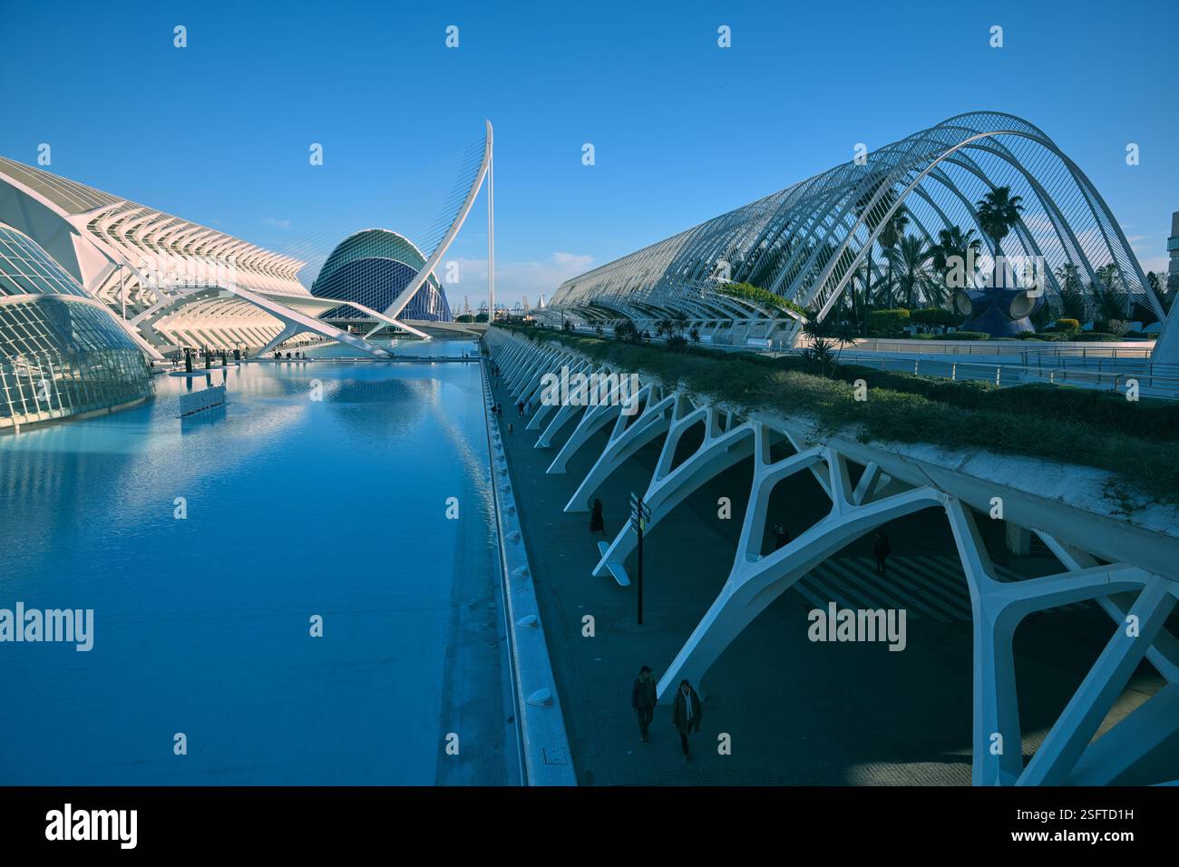 Buildings of the City of Arts and Sciences are seen in Valencia, Spain ...