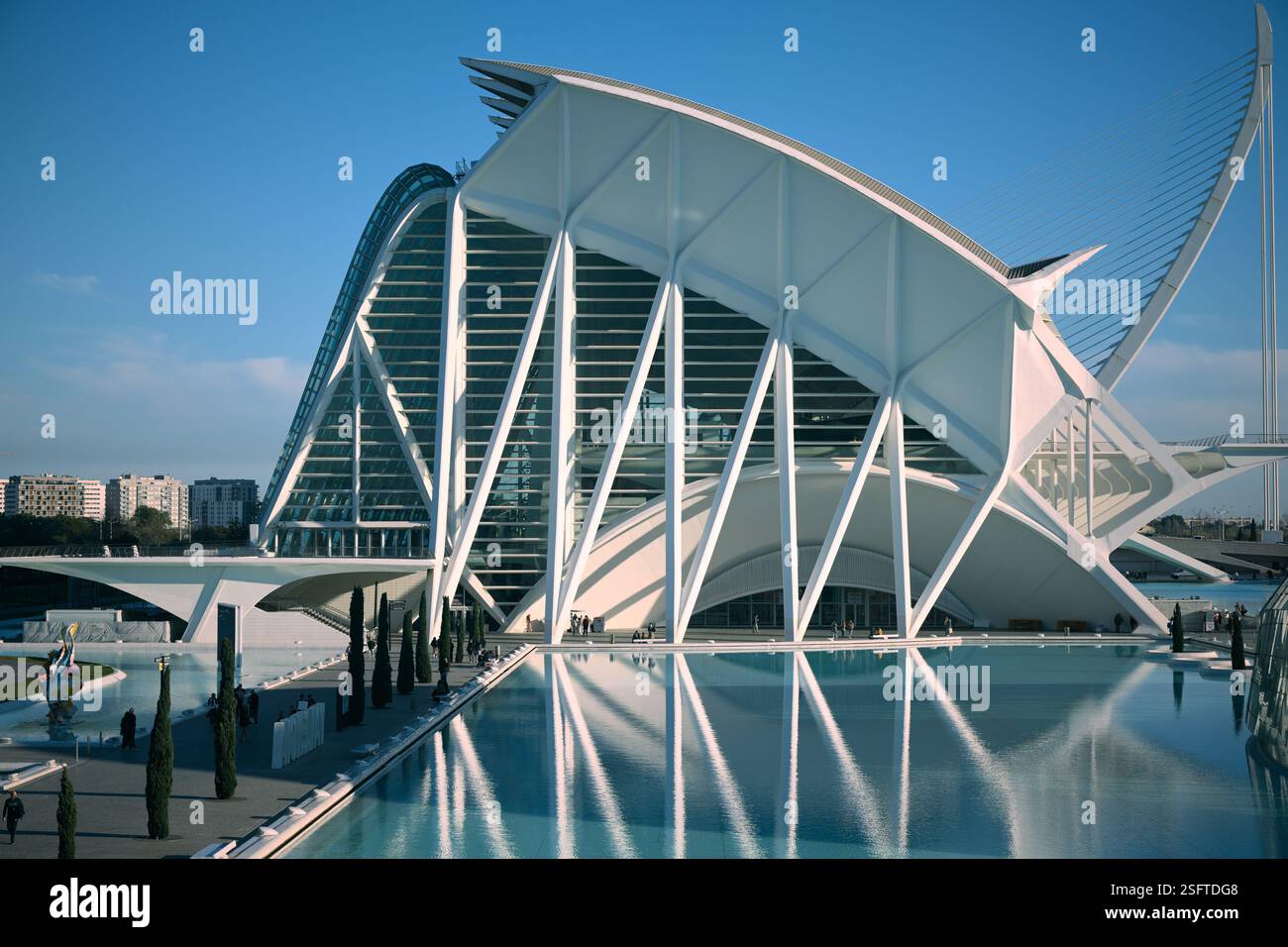 Buildings of the City of Arts and Sciences are seen in Valencia, Spain ...