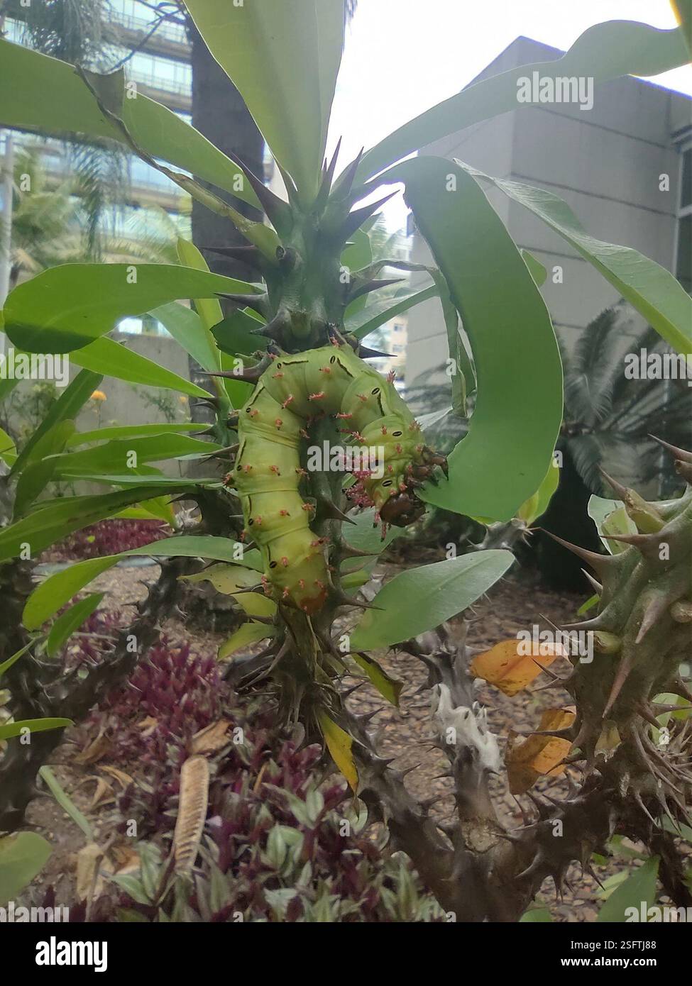 Tres rios rj hi-res stock photography and images - Alamy