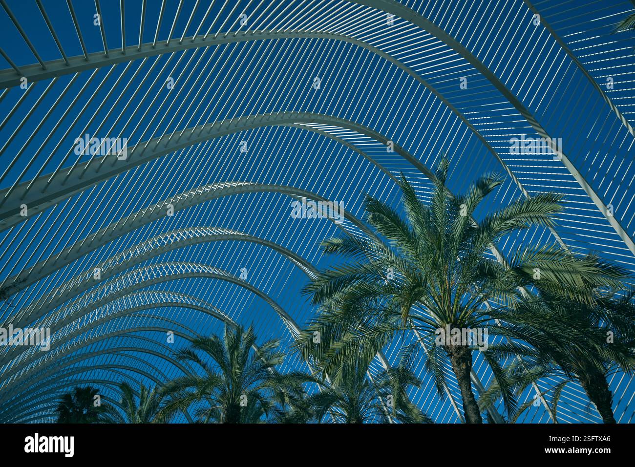 Buildings of the City of Arts and Sciences are seen in Valencia, Spain ...