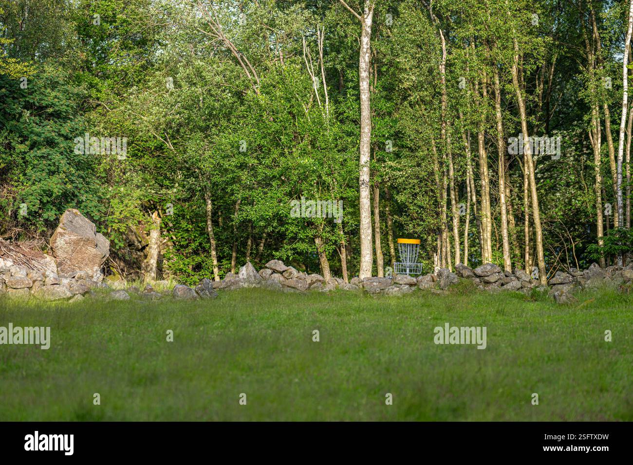 disc golf basket in forest clearing Stock Photo - Alamy