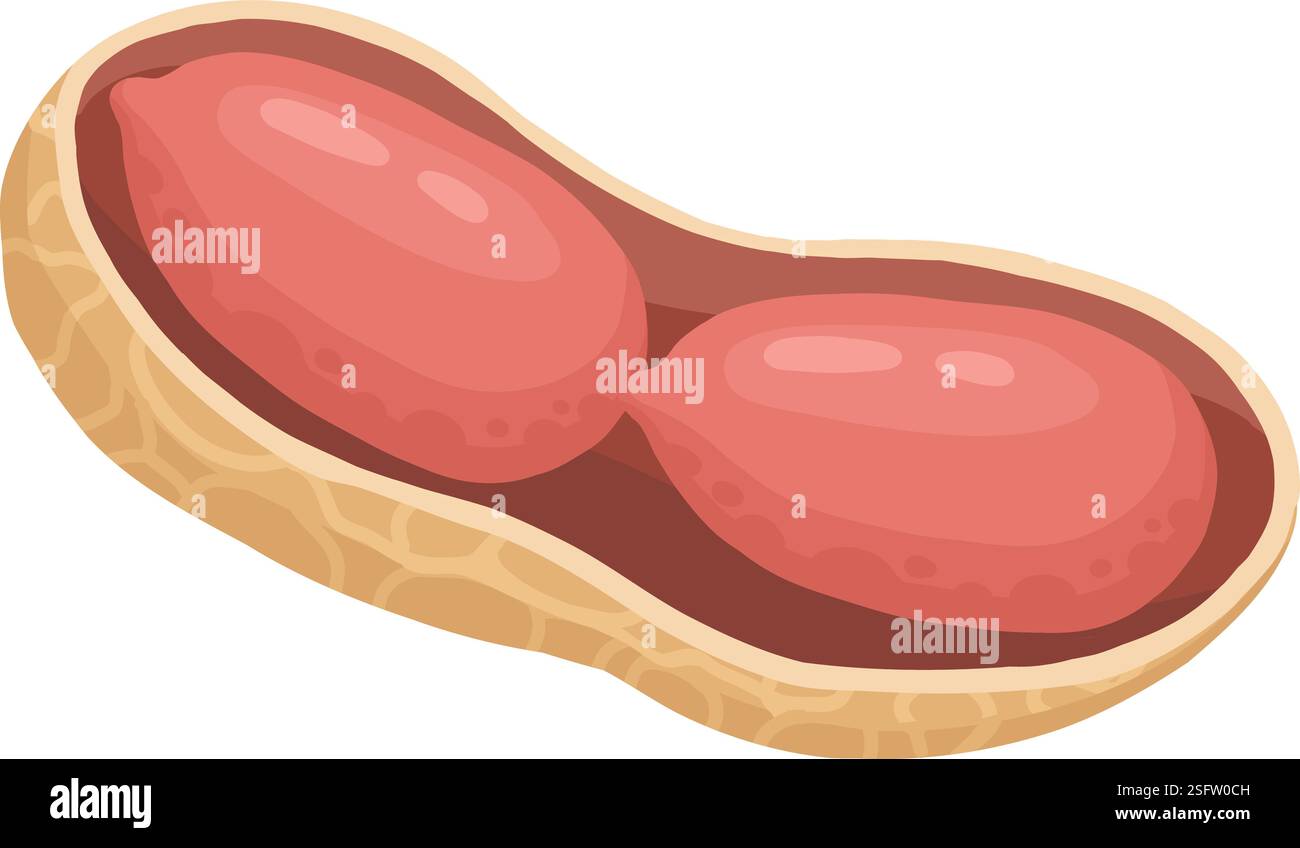 Cartoon peanut. Delicious tasty peanuts snack, raw peanut in shell flat ...