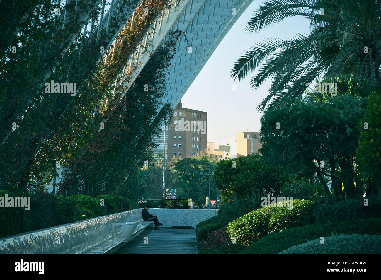Buildings of the City of Arts and Sciences are seen in Valencia, Spain ...