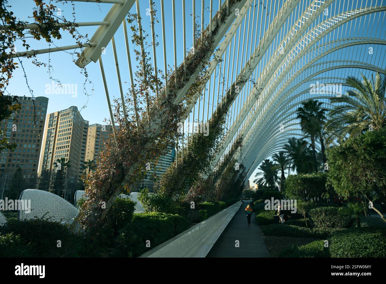Buildings of the City of Arts and Sciences are seen in Valencia, Spain ...