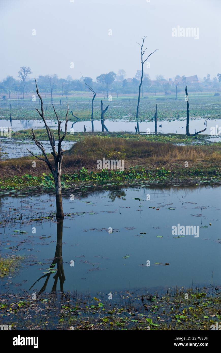 Ta Mok's house overlooks an eerie lake near the remains of Pol Pot's ...