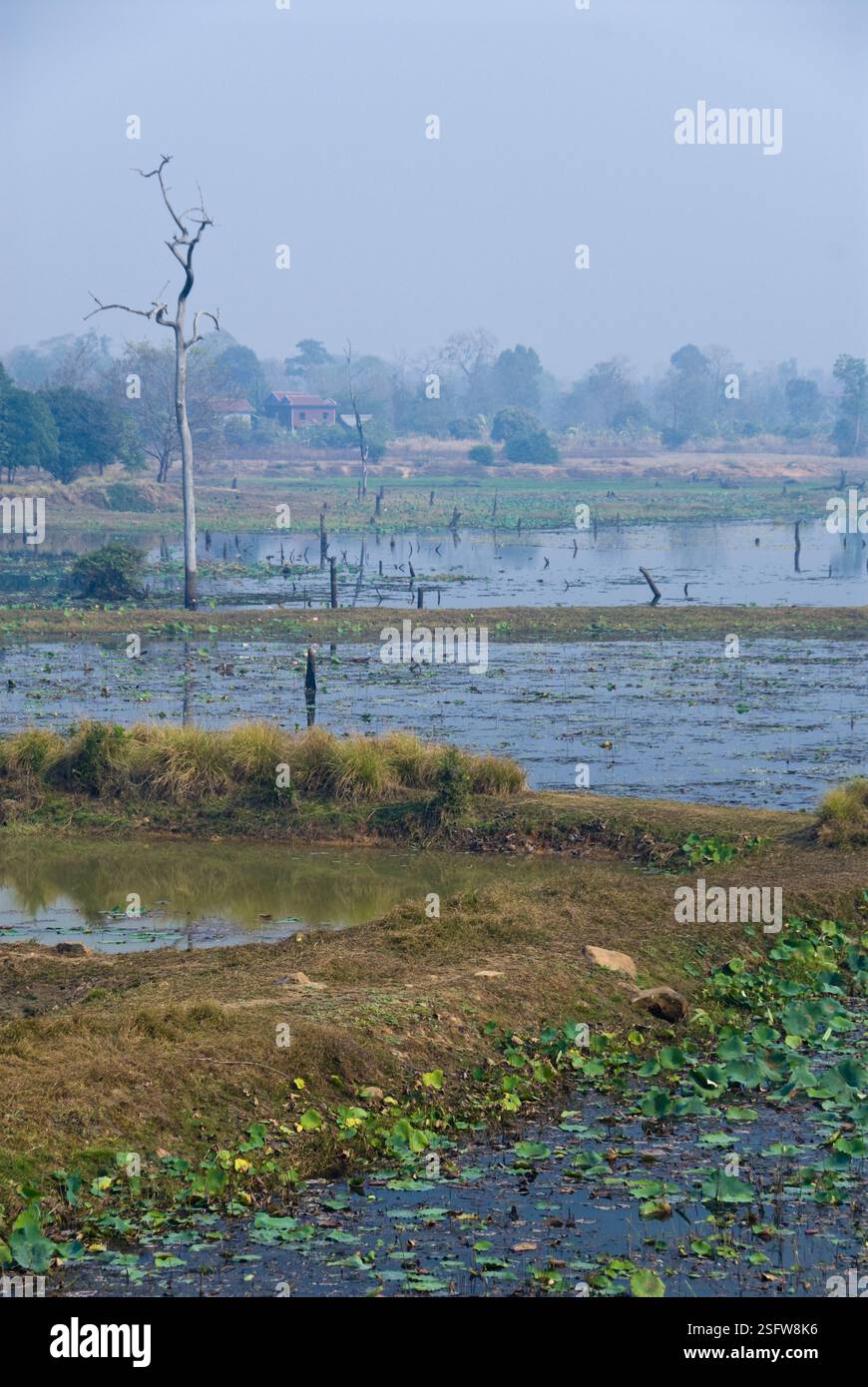 Ta Mok's house overlooks an eerie lake near the remains of Pol Pot's ...