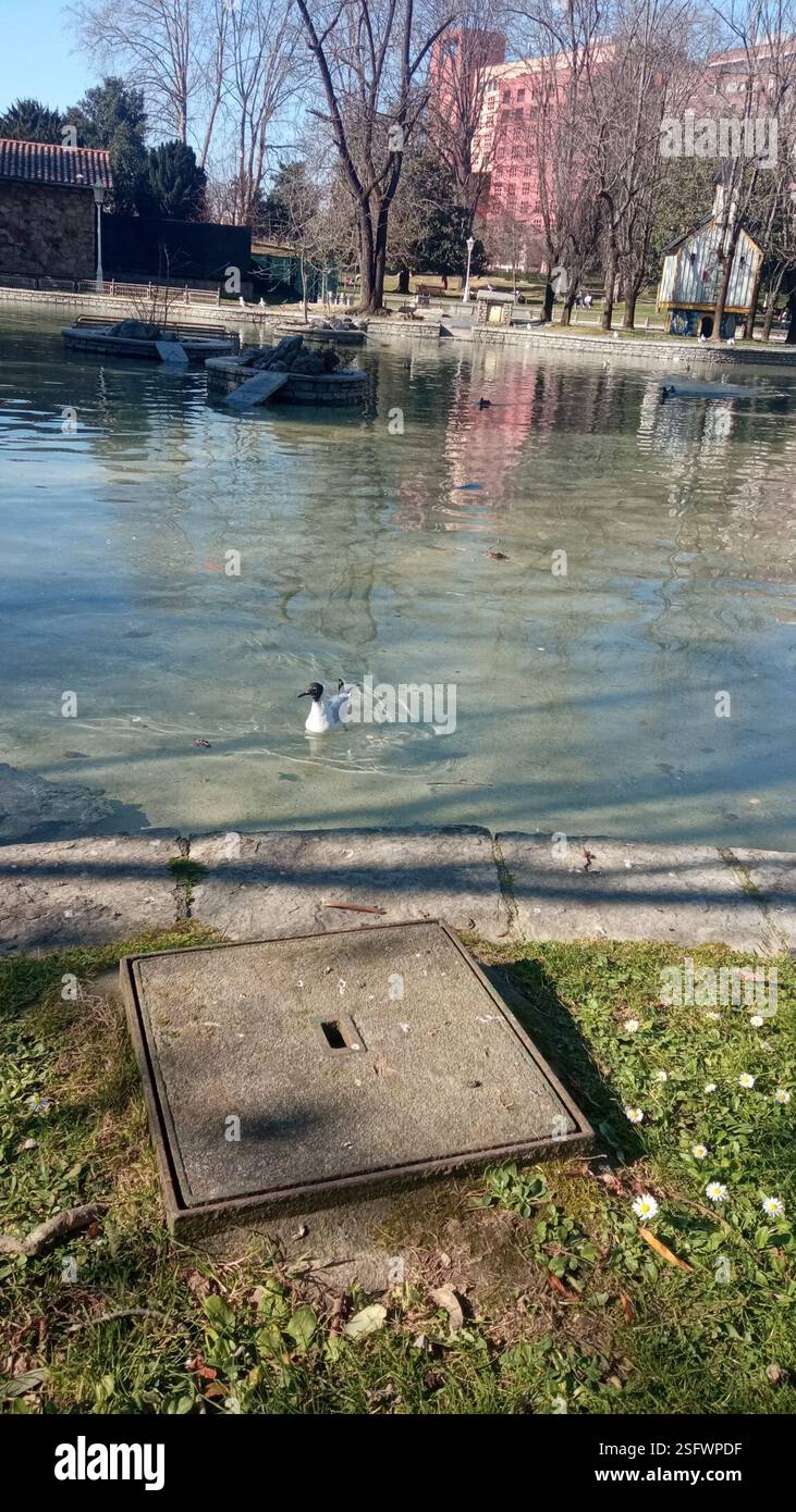 48011 hi-res stock photography and images - Alamy