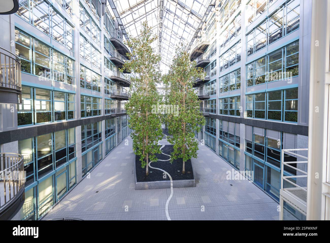 Atrium of a modern office building with tall trees and glass fronts ...