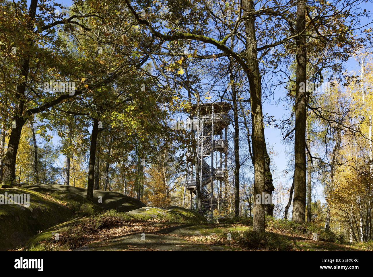 Observation tower in the Blockheide nature park Park near Gmuend ...