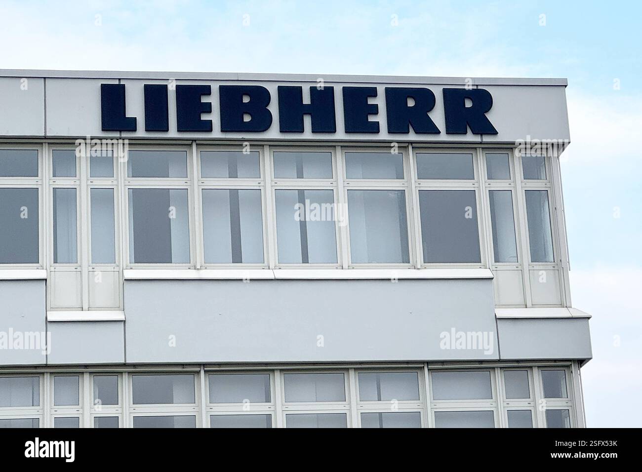 09.02.2025 xsvx, Wirtschaft, Liebherr Erdbewegung, Mining ...