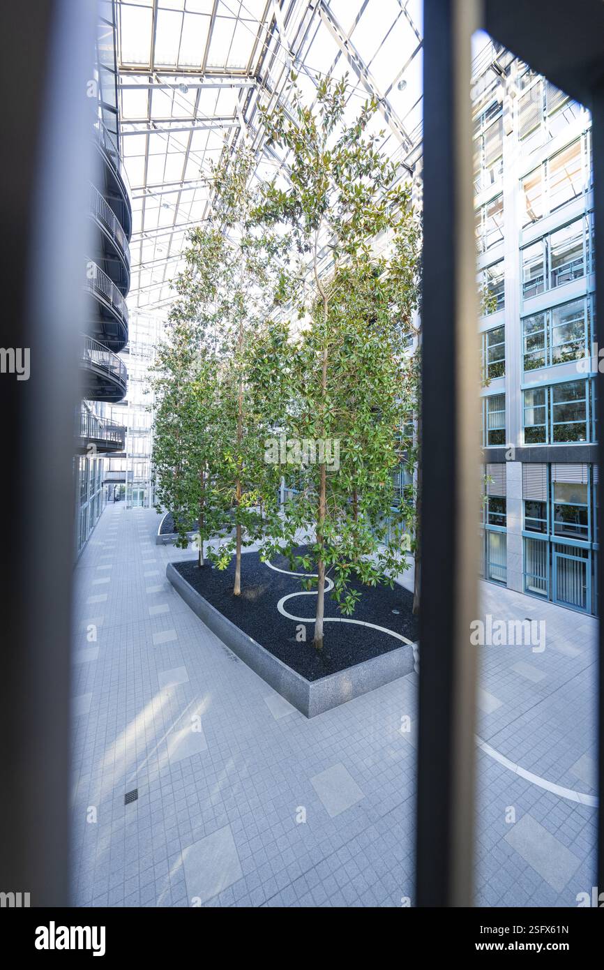View through windows to trees in a modern building with glass ...