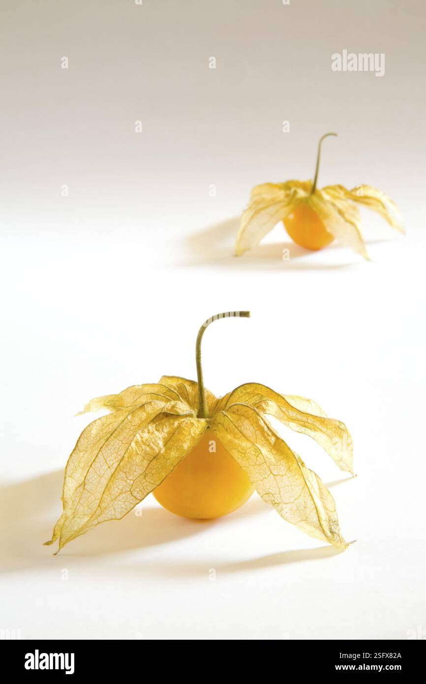 Fruits, Rasbhari Raspberry with leaves on white background Stock Photo ...