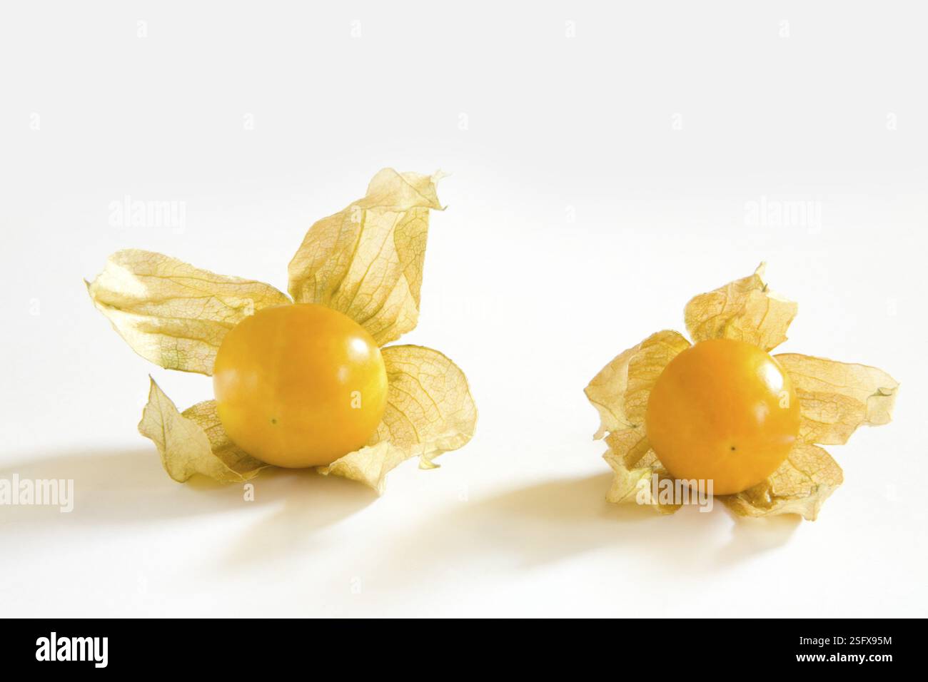 Fruits, Rasbhari Raspberry with leaves on white background Stock Photo ...