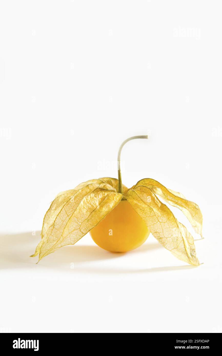 Fruits, Rasbhari Raspberry with leaves on white background Stock Photo ...
