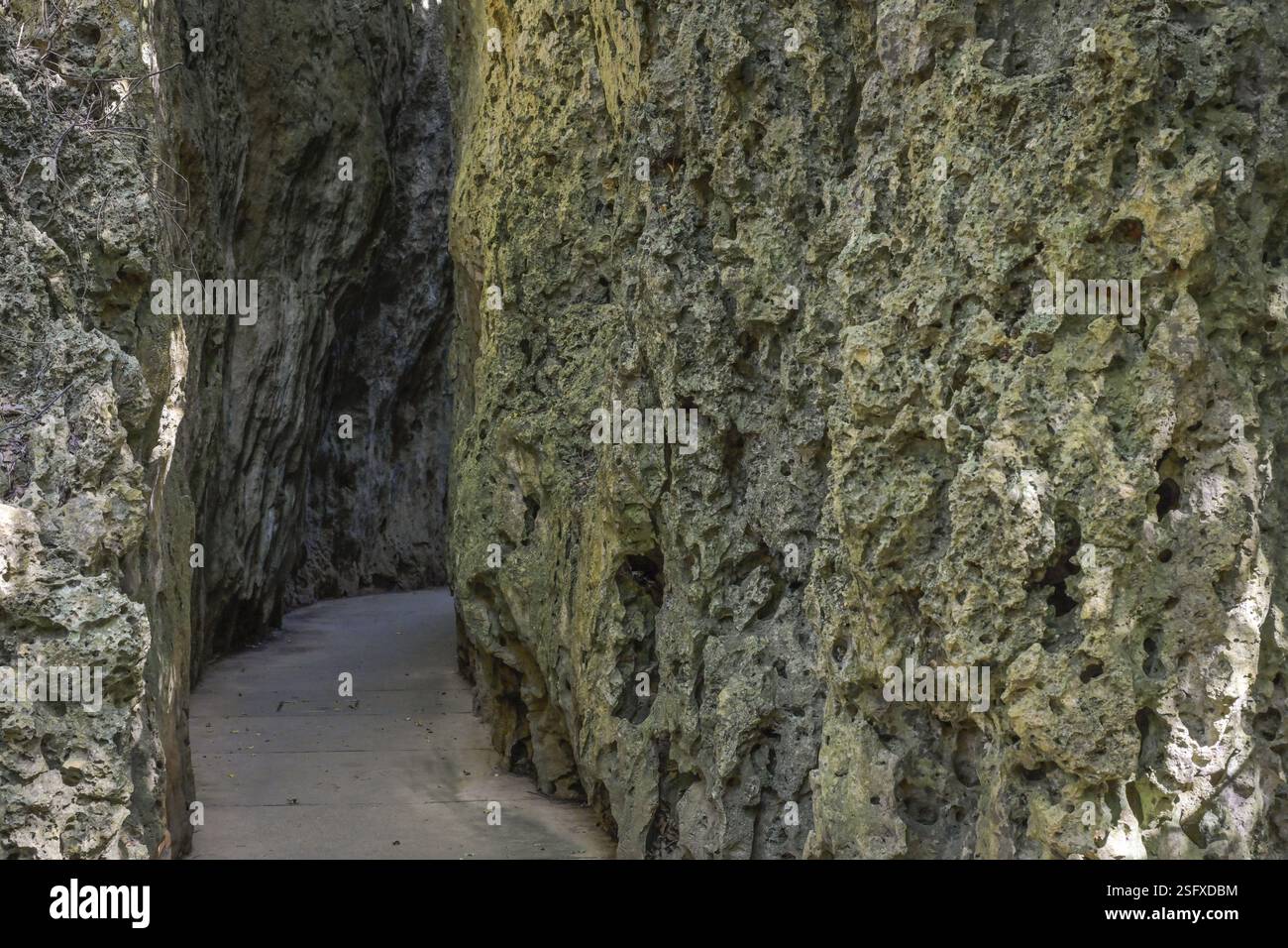 Hiking trail through limestone cliffs, former coral reefs, Coral Reef ...