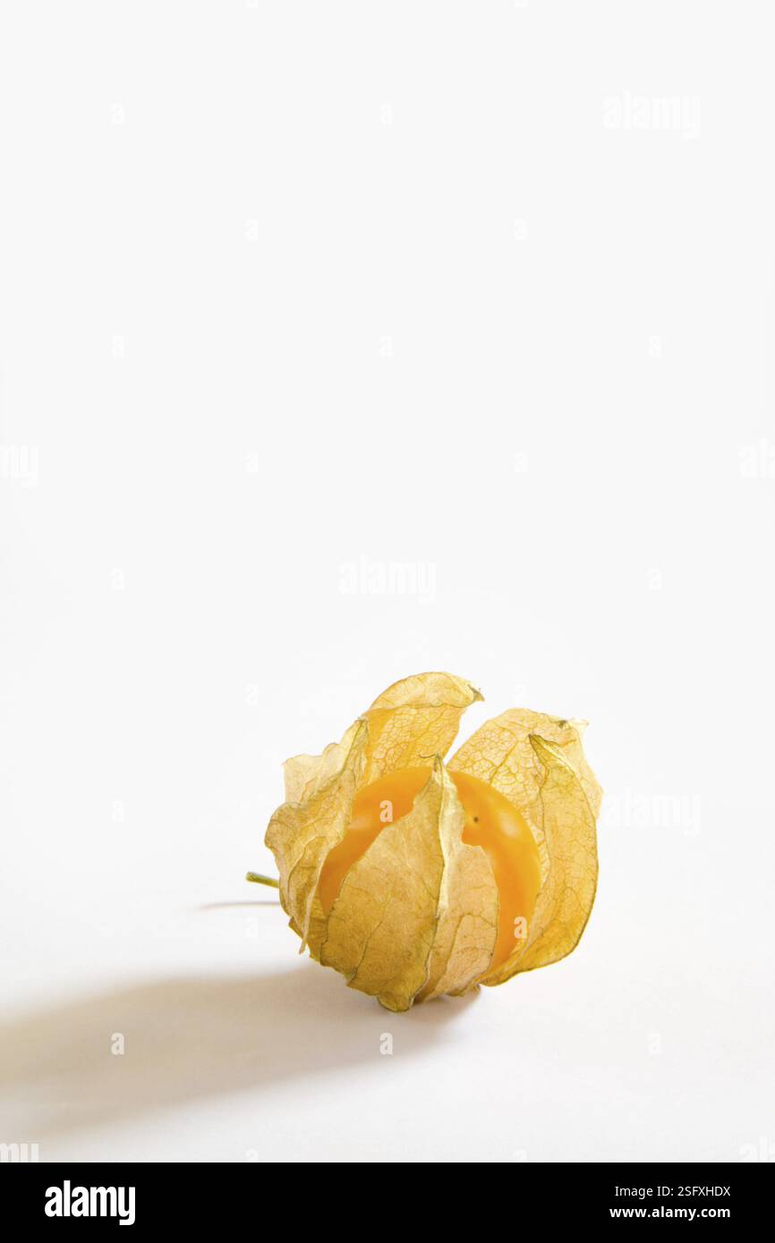 Fruits, Rasbhari Raspberry with leaves on white background Stock Photo ...