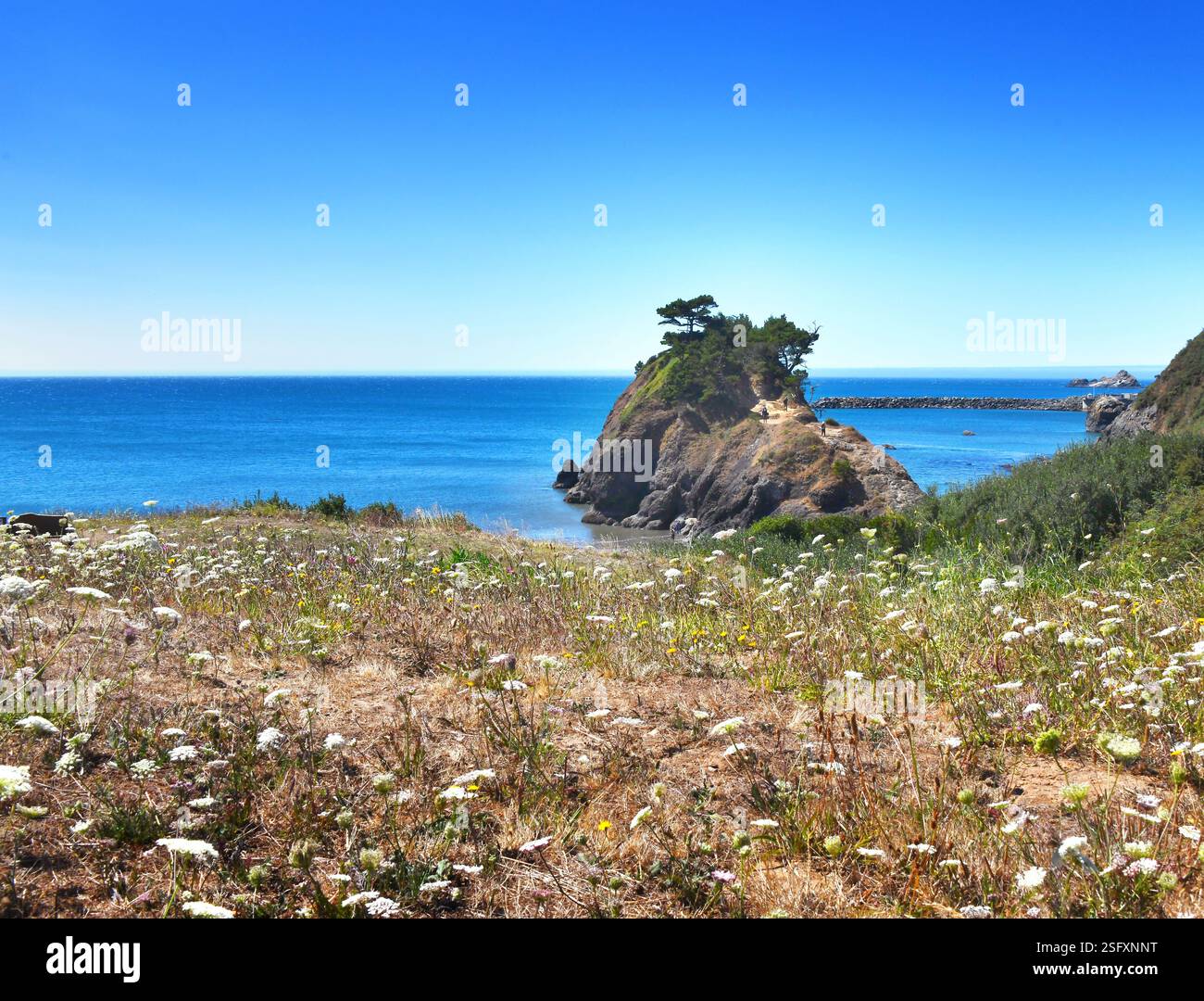 Historic, Battle Rock State Park sits near the town of Port Orford ...