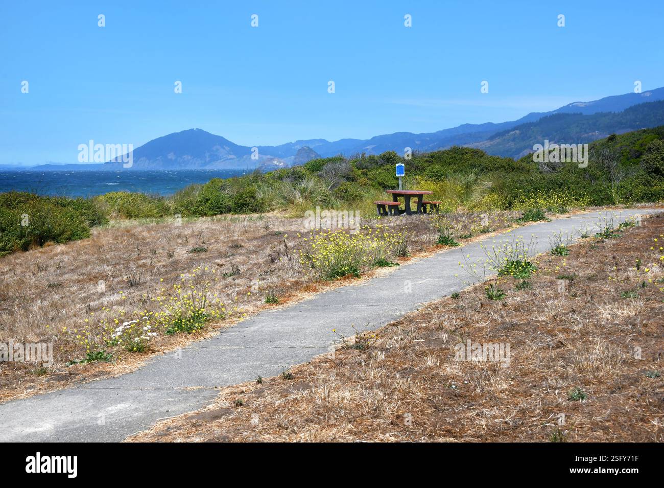 Picnic table has terrific view of the Oregon Coast at the Ophir State ...