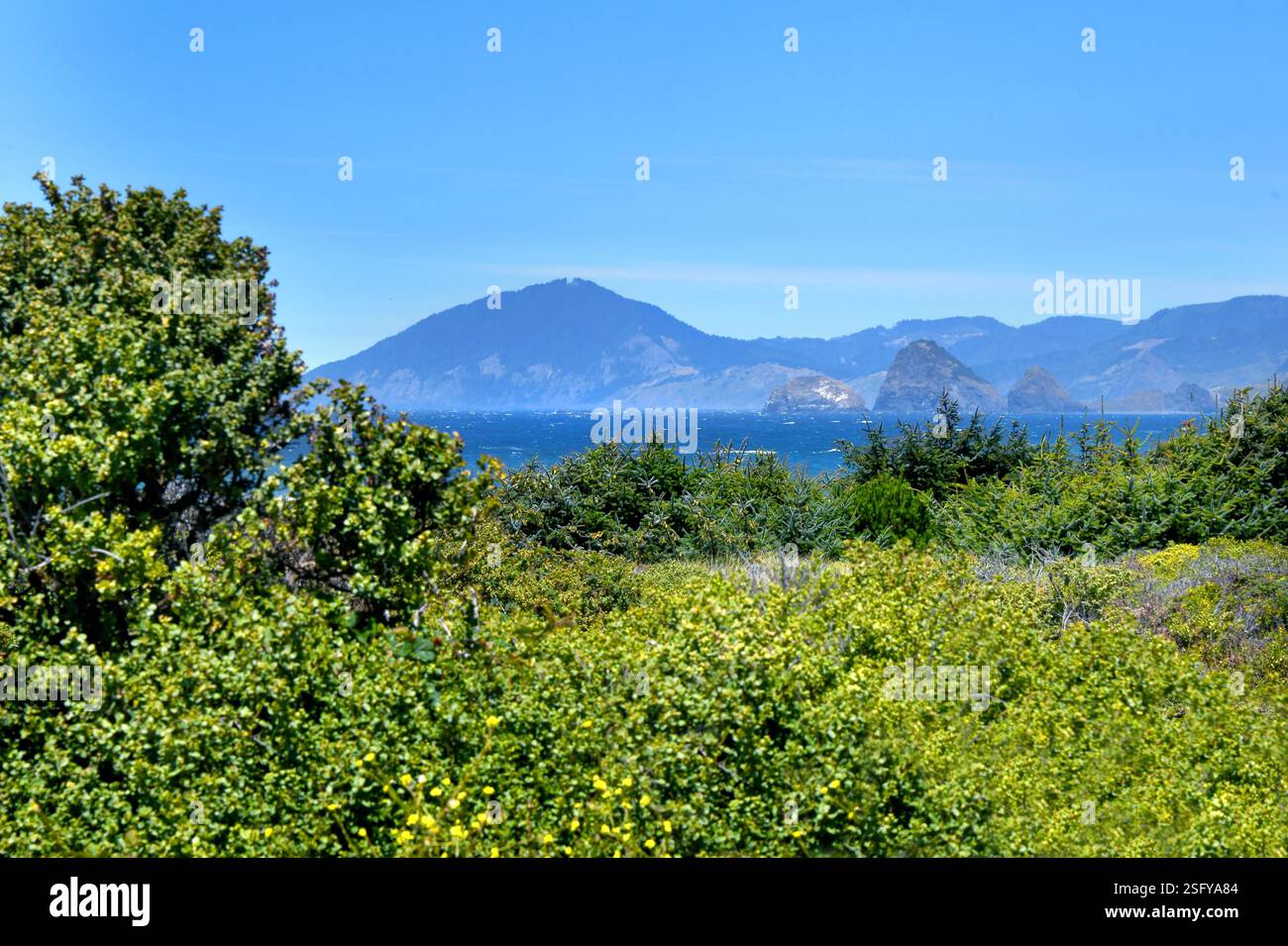Ophir wayside state park hi-res stock photography and images - Alamy