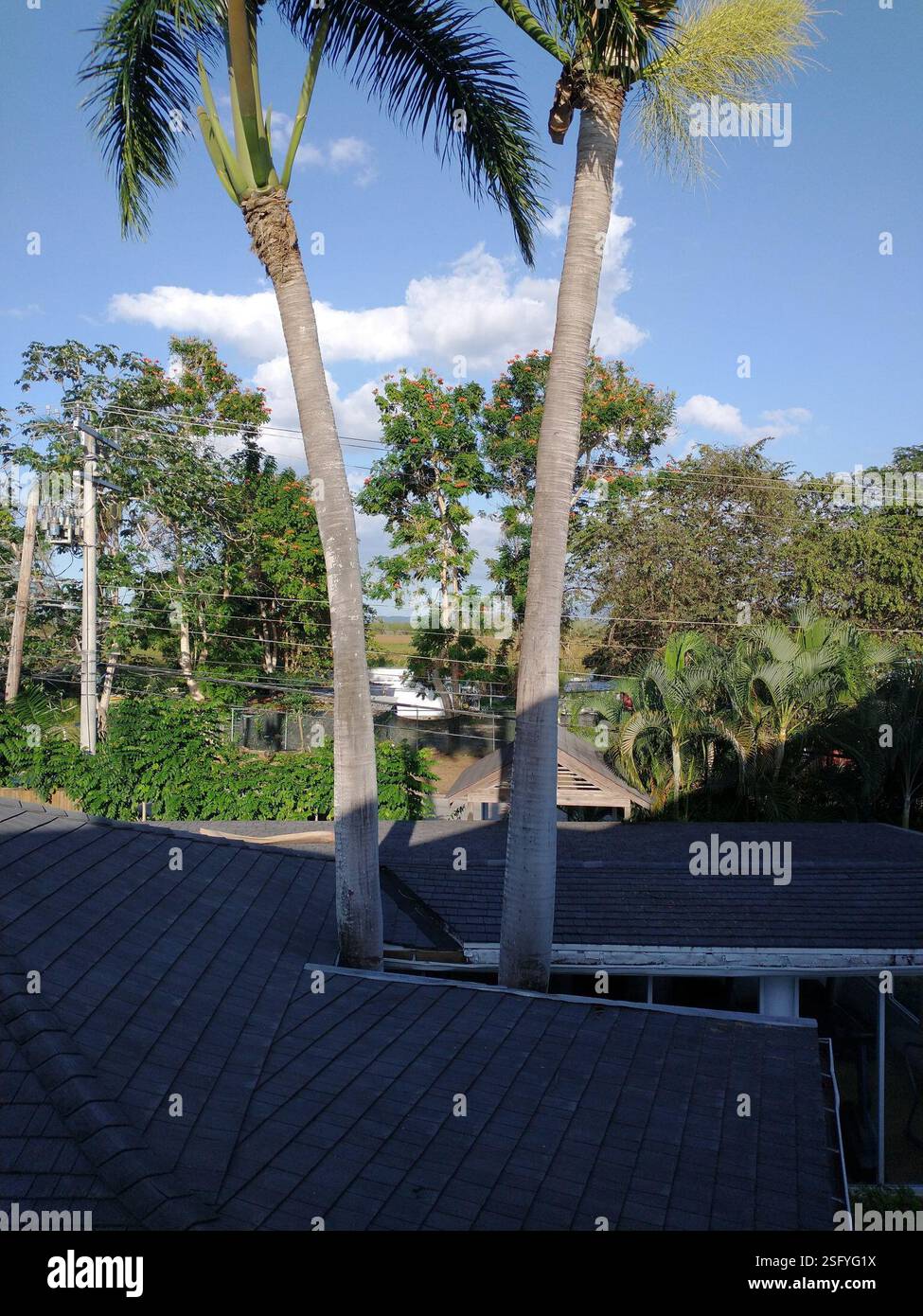 Hanover parish jamaica hi-res stock photography and images - Alamy