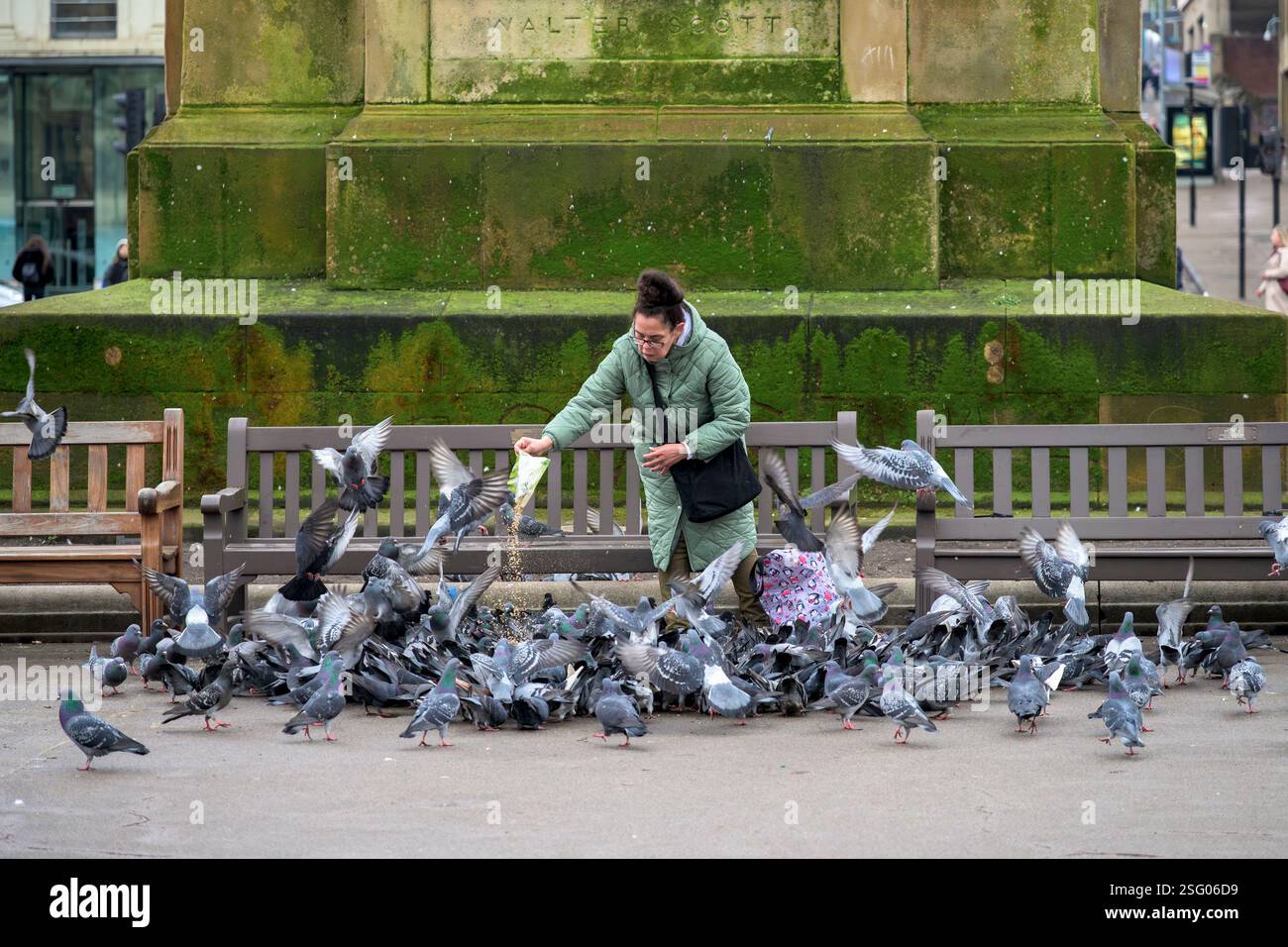 A woman feeding pigeons on George Square, Glasgow, Scotland, UK, Europe ...