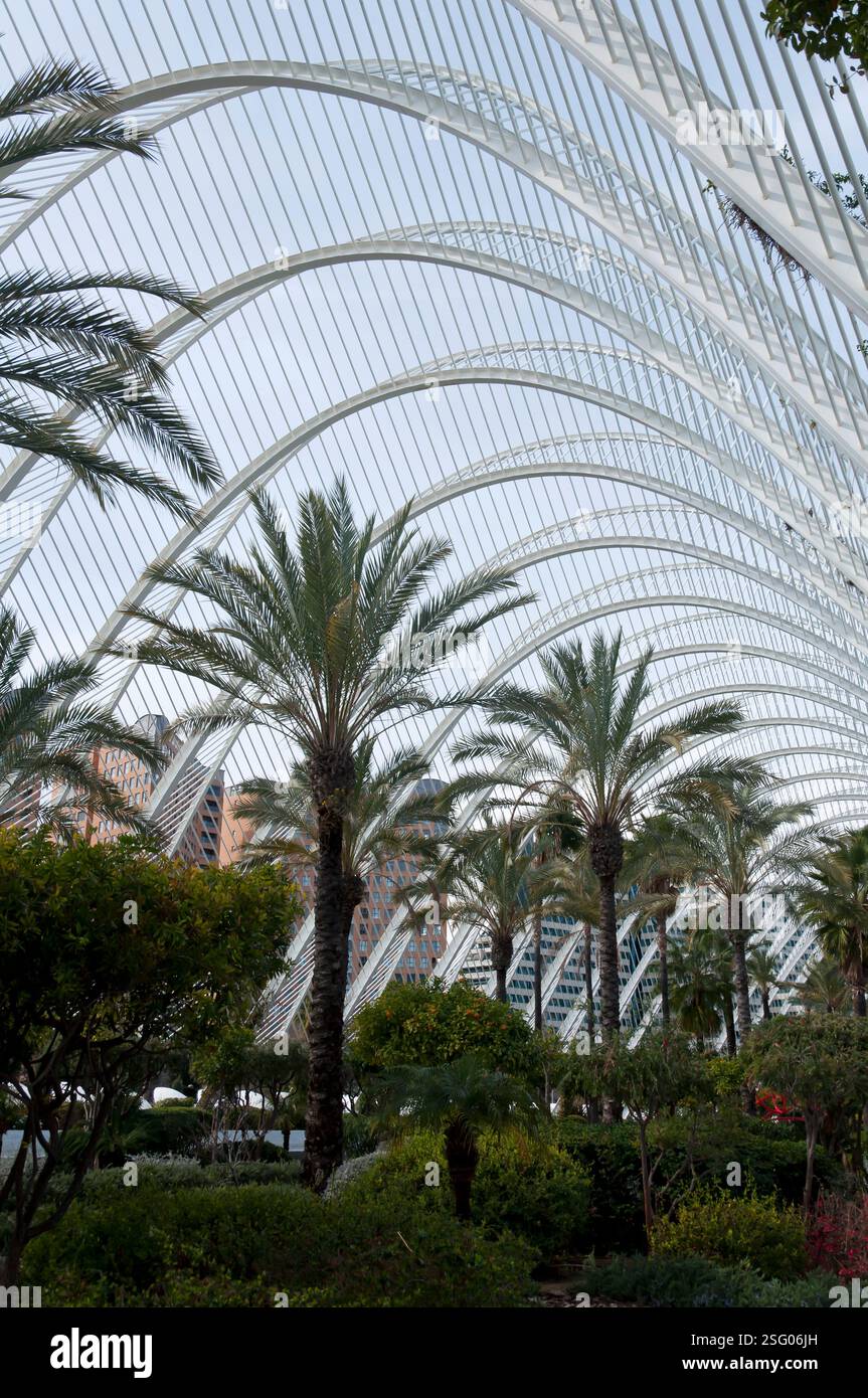 Umbraculum, City of Arts and Sciences designed by Santiago Calatrava ...