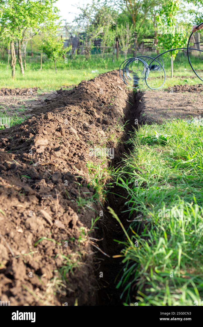 Carrying out drip irrigation in the garden. A ditch dug in the ground ...